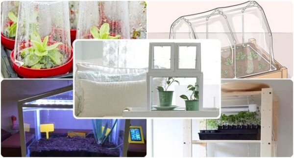 The Complete Beginners Guide to Indoor Greenhouse - Home Garden First