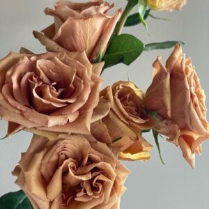 23 Brown Flower Names: Types of Brown Flower Names