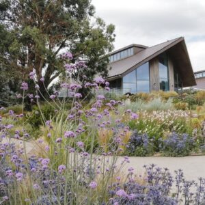 Dry Garden Design: How to Create a Stunning, Low-Water Landscape