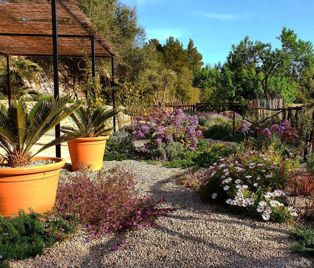 Dry Garden Design: How to Create a Stunning, Low-Water Landscape