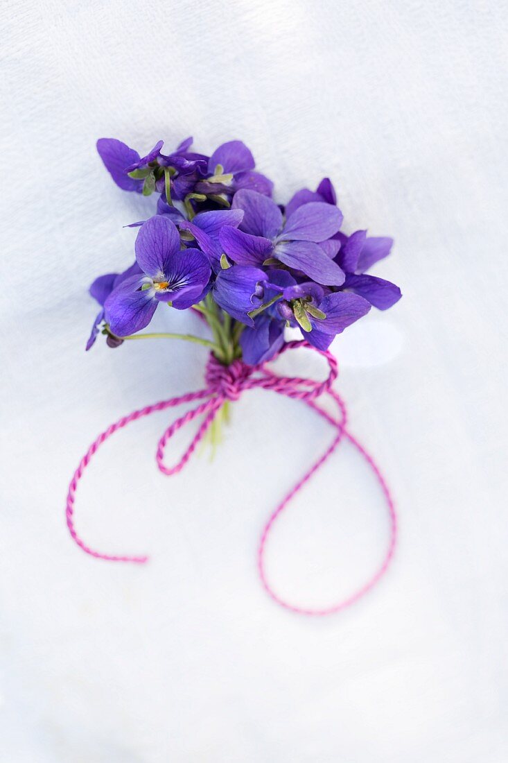 13 Meaningful Flowers for Pet Memorial to Honor Your Beloved Companion